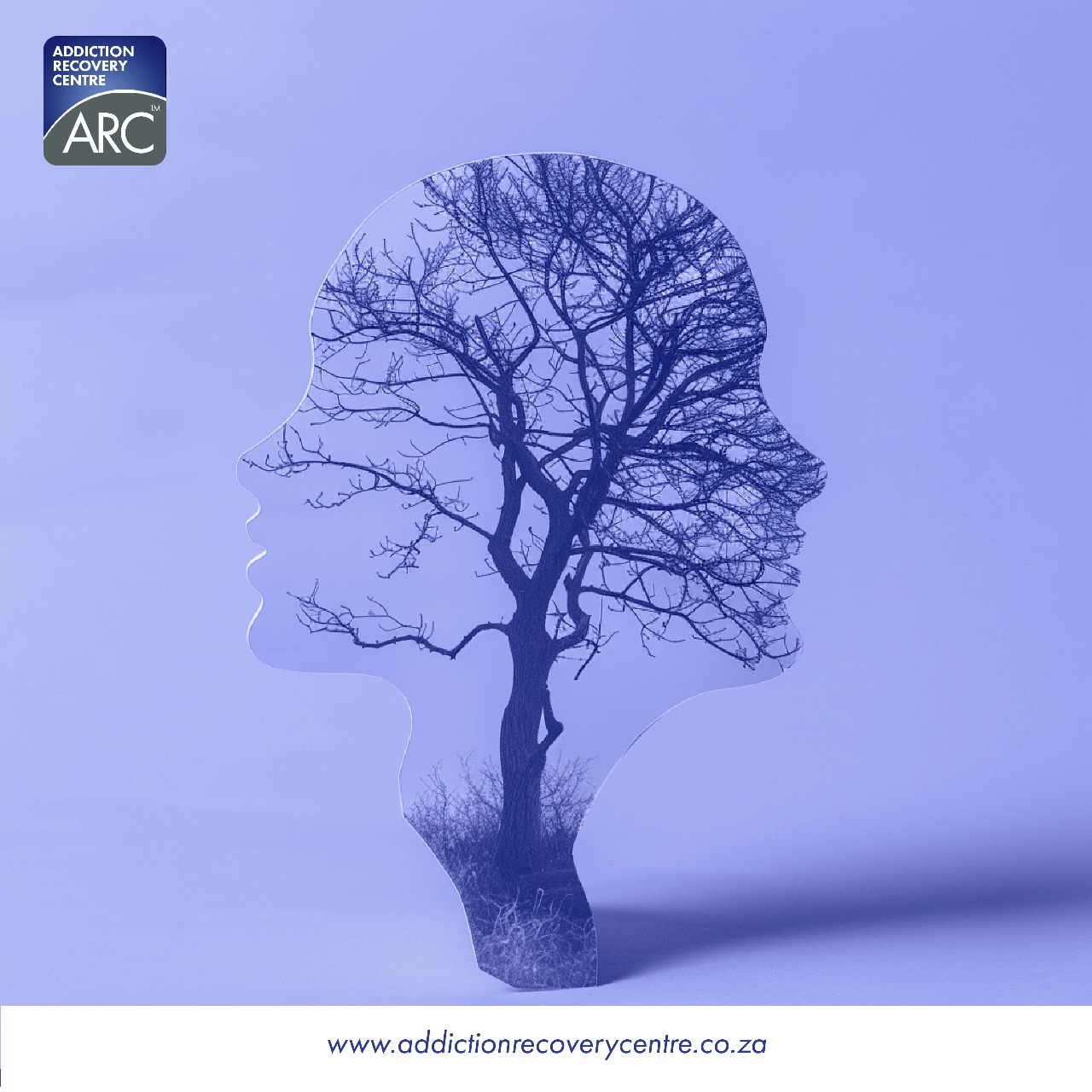 Renew substance rehabilitation centre | Rehabilitation Overview